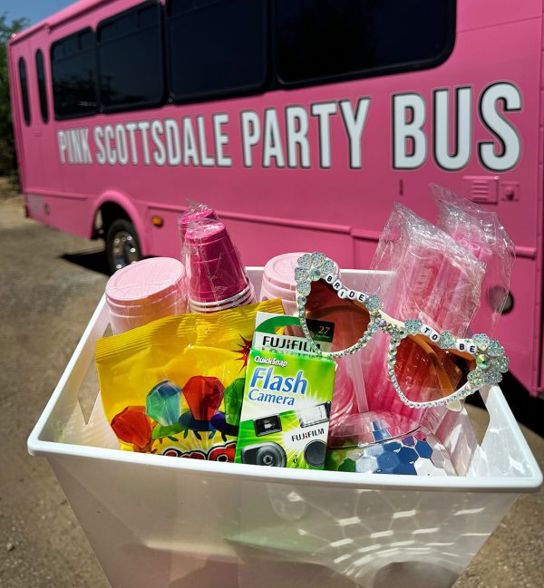 Party Bus Rentals for Bachelorette Parties - Pink Scottdale Party Bus